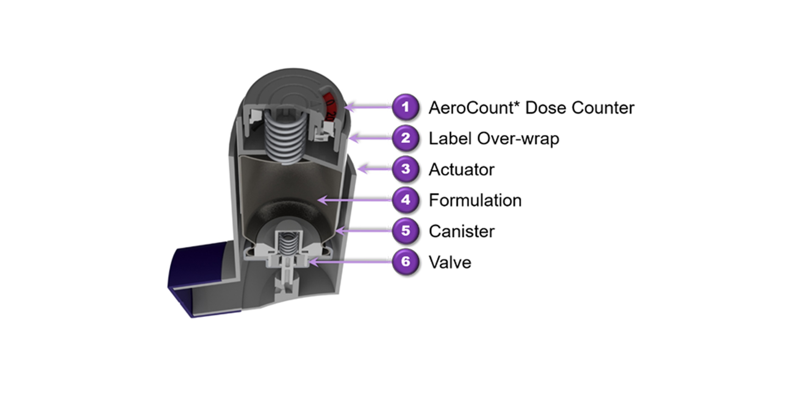 AEROCOUNT* Dose Counter (TMAI) | trudellmed.com